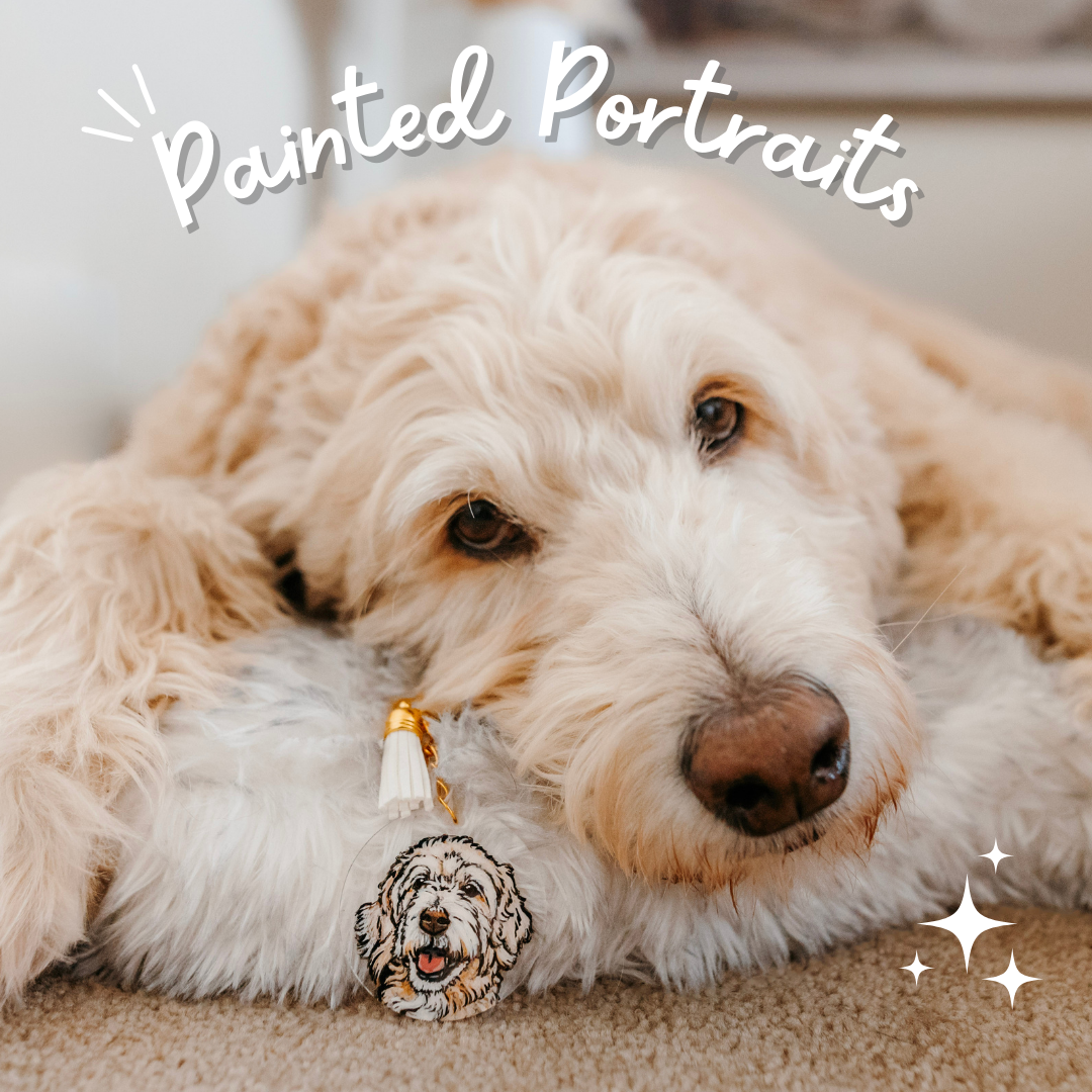 Paint & Paws – Paint & Paws